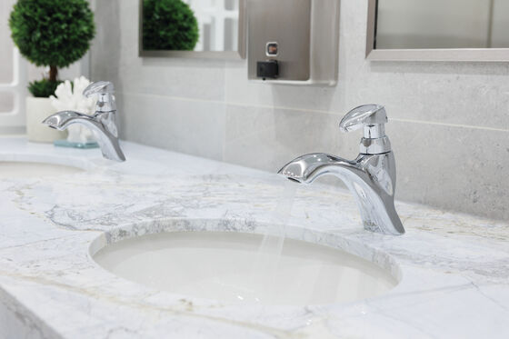 Single Hole Metering Slow-Close Bathroom Faucet in Chrome 87T111 ...