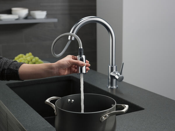 Single Handle Pull-Down Kitchen Faucet in Arctic Stainless 9159-AR-DST ...