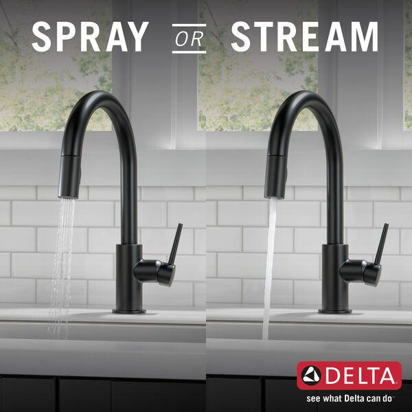 Single Handle Pull-Down Kitchen Faucet in Matte Black 9159-BL-DST ...