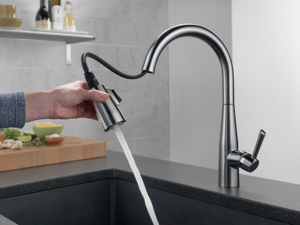 Single Handle Pull-Down Kitchen Faucet in Arctic Stainless 9113-AR-DST ...