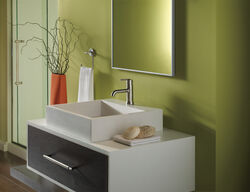 Raincan Single-Setting 12" Metal (Recertified) in Stainless 52159-SS-R ...