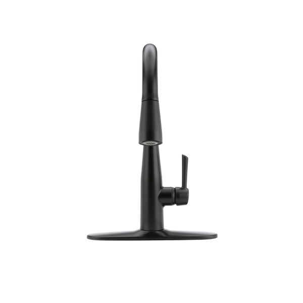 Single Handle Pull-Down Kitchen Faucet in Matte Black 9113-BL-DST ...