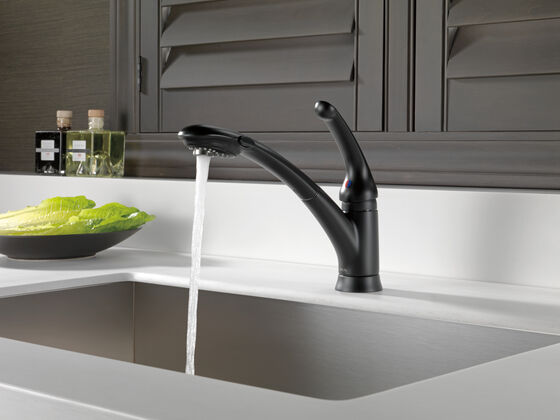 Pull-Out Kitchen Faucet 1L (Recertified) in Matte Black 470-BL-DST-R ...