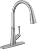 Single Handle Pull-Down Kitchen Faucet in Arctic Stainless 9110-AR-DST ...