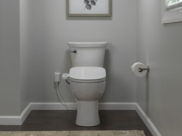 Standard Elongated Electric Bidet Toilet Seat in White 893005E-WH ...