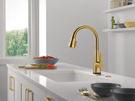 Air Switch with Dual Outlet in Brushed Gold 72050-GB | Delta Faucet