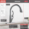 Single Handle Pull-Down Kitchen Faucet with ShieldSpray® Technology in ...