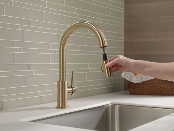 Single Handle Pull-Down Kitchen Faucet (Recertified) in Champagne ...