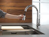 Single Handle Pull-Down Kitchen Faucet 9113-DST | Delta Faucet
