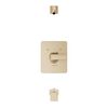 Monitor 14 Series Tub & Shower - Less Head in Champagne Bronze T14437 ...
