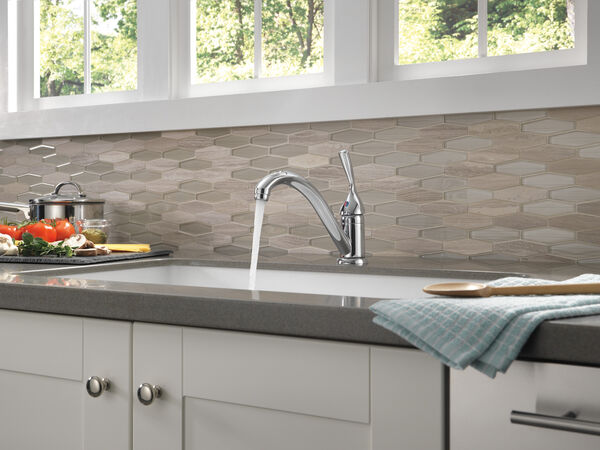 Single Handle Kitchen Faucet in Chrome 101-DST | Delta Faucet