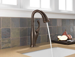 Single Handle Pull-Down Kitchen Faucet with ShieldSpray® Technology in ...