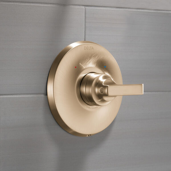 14 Series Valve Only Trim (Recertified) in Lumicoat® Champagne Bronze ...