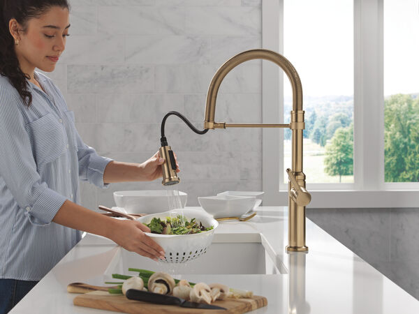 Single Handle Pull-Down Spring Kitchen Faucet in Champagne Bronze 18829 ...