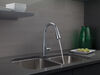 Single Handle Pull-Down Kitchen Faucet in Arctic Stainless 9113-AR-DST ...