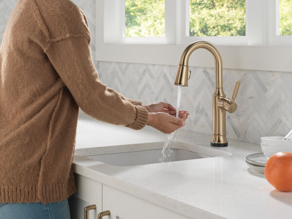 Touch2O® Bar / Prep Faucet with Touchless Technology in Lumicoat ...