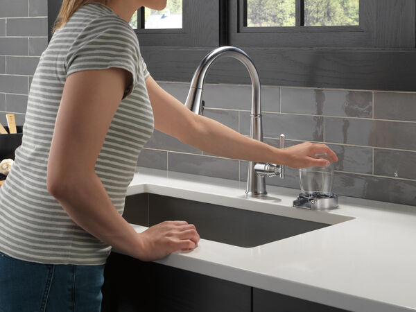 Metal Glass Rinser in Arctic Stainless GR250-AR | Delta Faucet