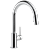 Single Handle Pull-Down Kitchen Faucet (Recertified) in Chrome 9159-DST ...