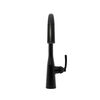 Single Handle Pull-Down Kitchen Faucet in Matte Black 9176-BL-DST ...
