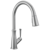 Single Handle Pull-Down Kitchen Faucet in Arctic Stainless 9110-AR-DST ...