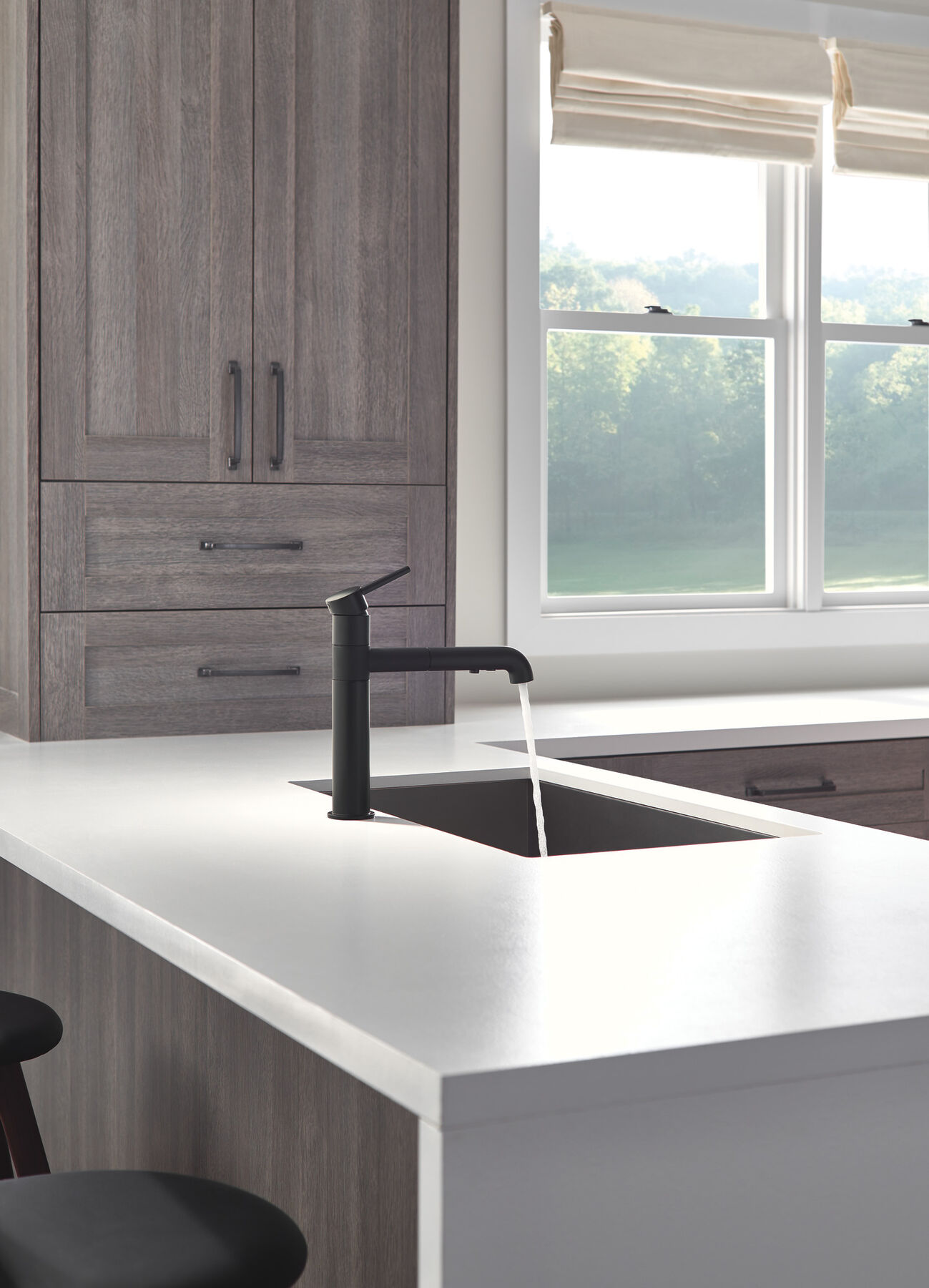 Single Handle Pull-Out Kitchen Faucet in Matte Black 4159-BL-DST ...