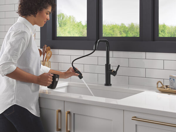 Single Handle Pull-Down Kitchen Faucet in Matte Black / Champagne ...