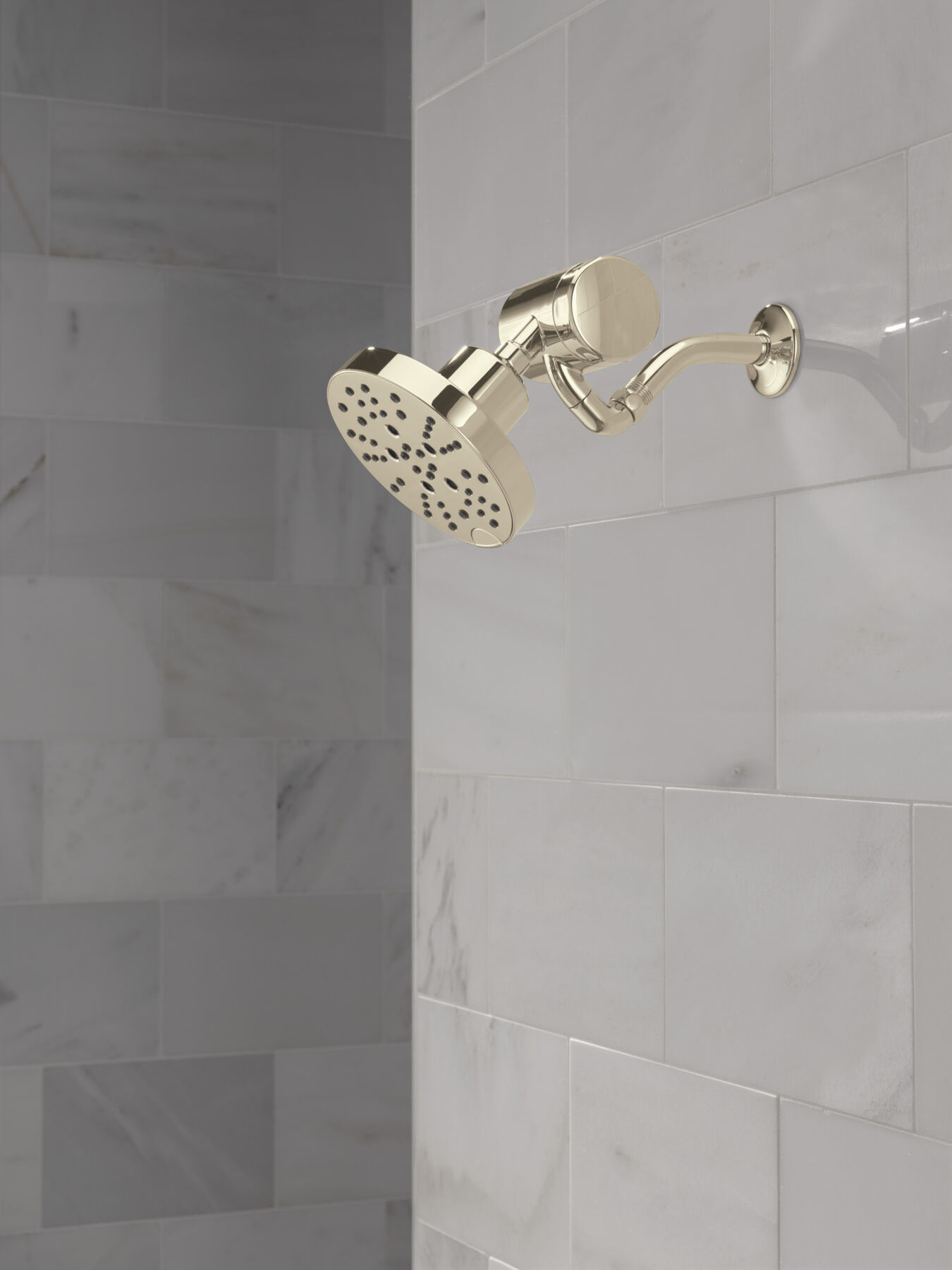 Premium Shower Filter Attachment in Polished Nickel 5SF100-PN | Delta ...