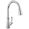 Single Handle Pull-Down Kitchen Faucet in Chrome 9110-DST | Delta Faucet