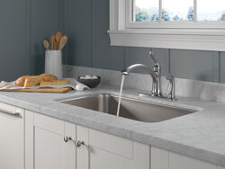 Single Handle Kitchen Faucet with Spray in Arctic Stainless 4453-AR-DST ...