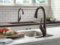 Single Handle Pull-Down Kitchen Faucet in Venetian Bronze 9113-RB-DST ...
