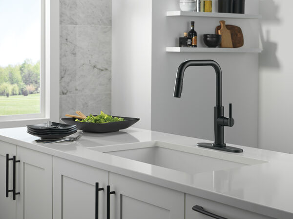 Single Handle Pull-Down Kitchen Faucet in Matte Black 19868LF-BL ...