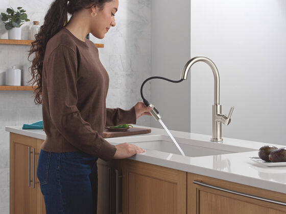 Single Handle Pull-Down Kitchen Faucet in Stainless 19867LF-SS | Delta ...