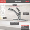 Single Handle Pull-Out Kitchen Faucet in Arctic Stainless 470-AR-DST ...