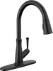 Single Handle Pull-Down Kitchen Faucet in Matte Black 9110-BL-DST ...