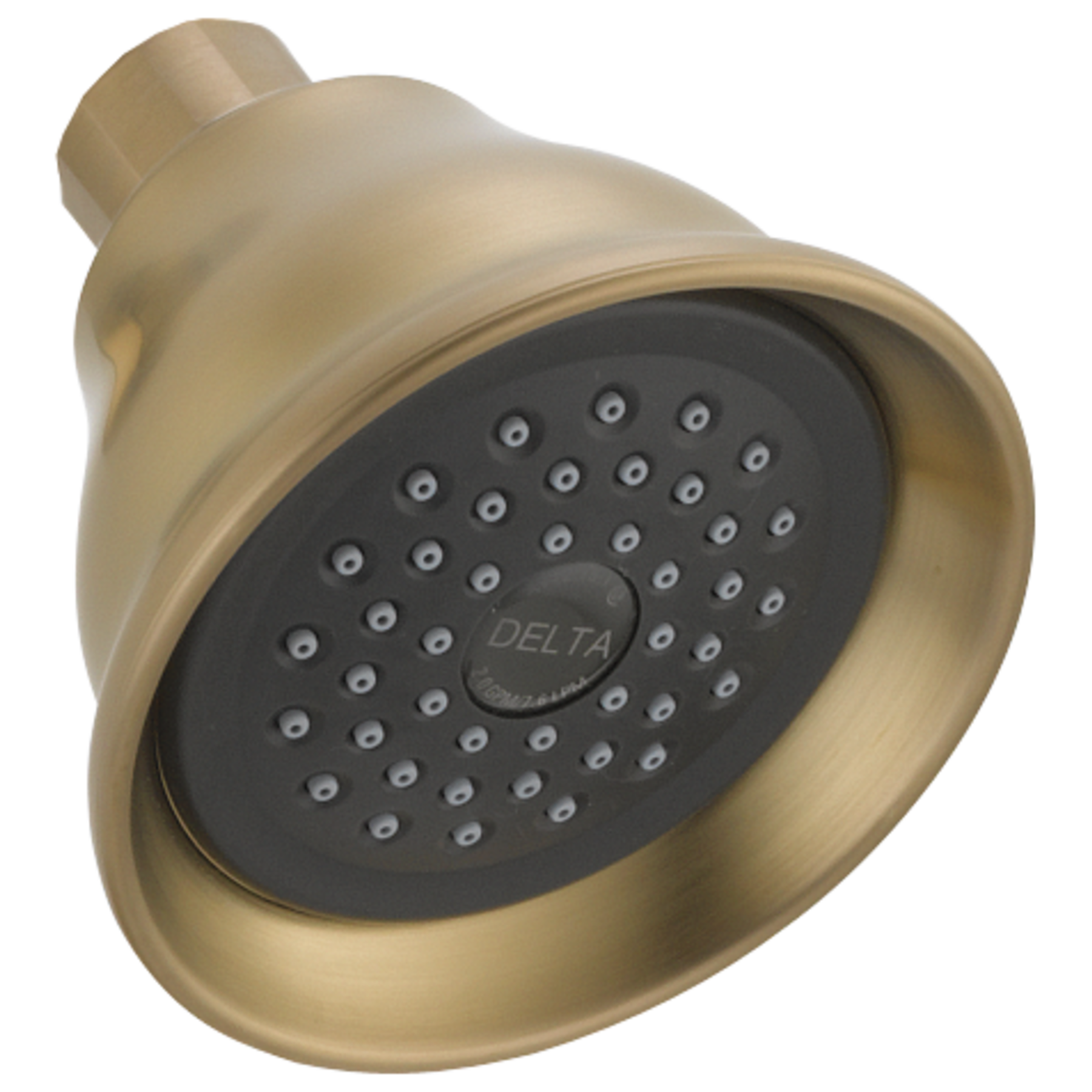 Fundamentals™ Single-Setting Shower Head in Champagne Bronze RP41589CZ ...