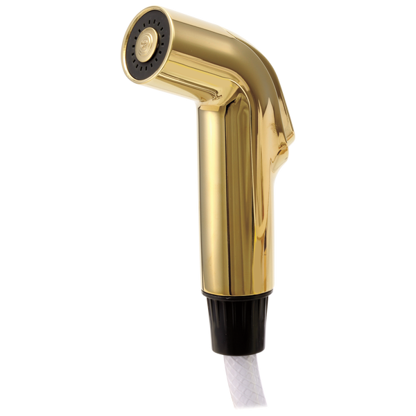 Side Spray & Hose Assembly in Polished Brass RP39345PB | Delta Faucet