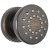 Surface Mount Body Spray in Venetian Bronze 50102-RB | Delta Faucet