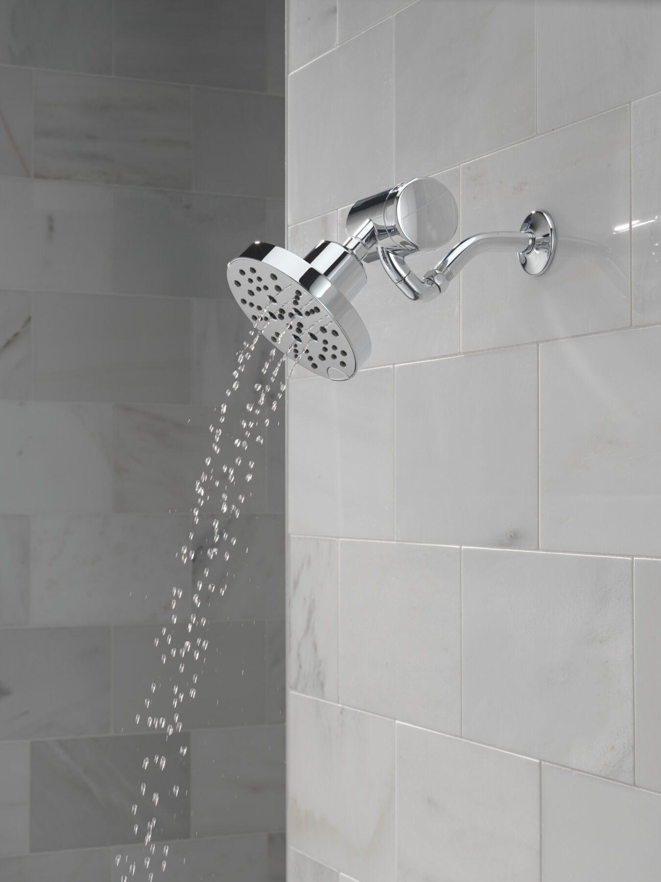 Premium Shower Filter Attachment in Chrome 5SF100 | Delta Faucet