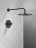 Monitor 14 Series Shower Trim in Matte Black T14269-BL-PP | Delta Faucet