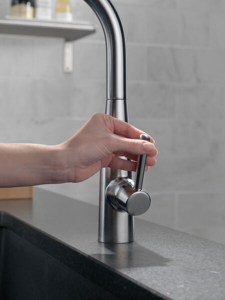 Single Handle Pull-Down Kitchen Faucet in Arctic Stainless 9113-AR-DST ...