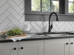 Single-Handle Pull-Down Kitchen Faucet in Matte Black 19888Z-BL-DST ...