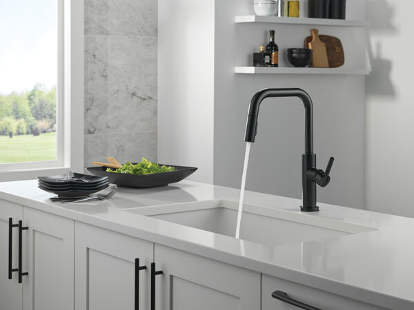Single Handle Pull-Down Kitchen Faucet in Matte Black 19868LF-BL ...