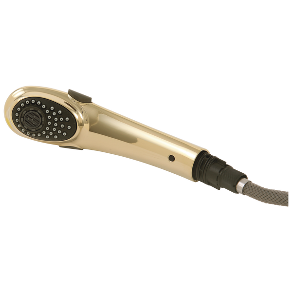 Wand Assembly w/ Hose in Polished Brass RP32542PB | Delta Faucet