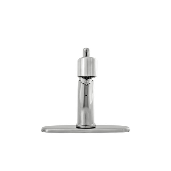 Single Handle Pull-Out Kitchen Faucet in Arctic Stainless 4140-AR-DST ...
