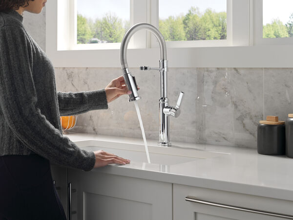 Single Handle Pull-Down Kitchen Faucet With Spring Spout in Chrome ...