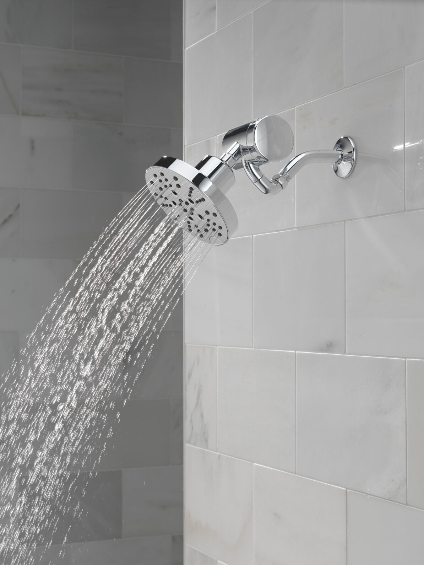 Premium Shower Filter Attachment in Chrome 5SF100 | Delta Faucet