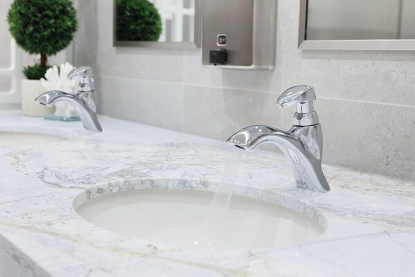 Single Hole Metering Slow-Close Bathroom Faucet in Chrome 87T105 ...