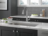 Single Handle Pull-Down Kitchen Faucet in Arctic Stainless 9110-AR-DST ...