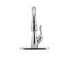 Single Handle Pull-Down Kitchen Faucet with ShieldSpray® Technology ...