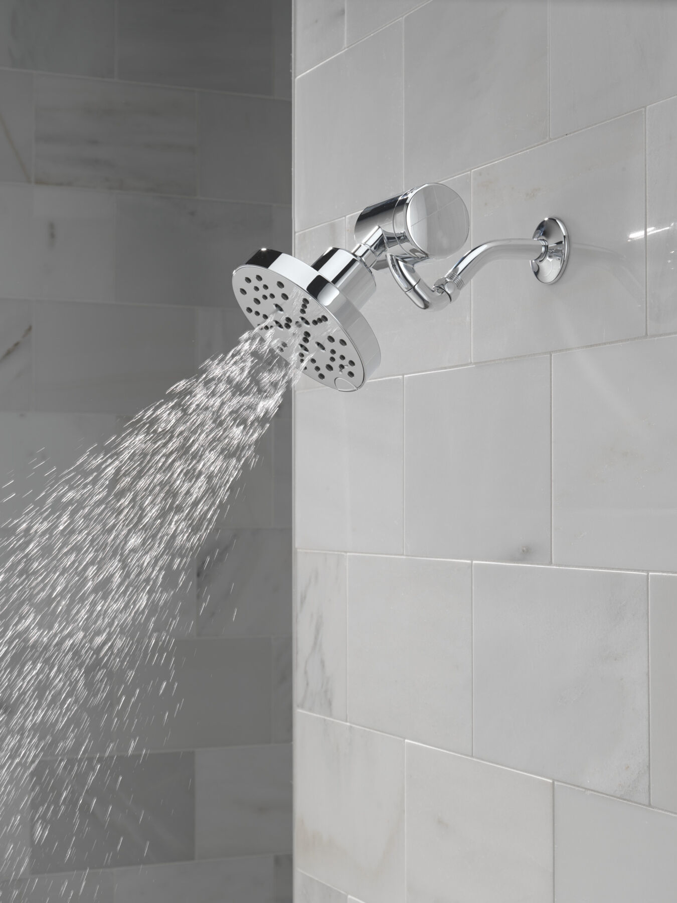 Premium Shower Filter Attachment in Chrome 5SF100 | Delta Faucet